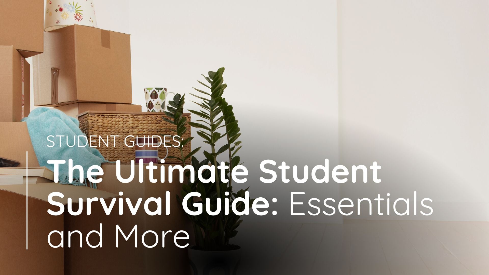 The Ultimate Student Survival Guide: Accommodation Essentials and More ...